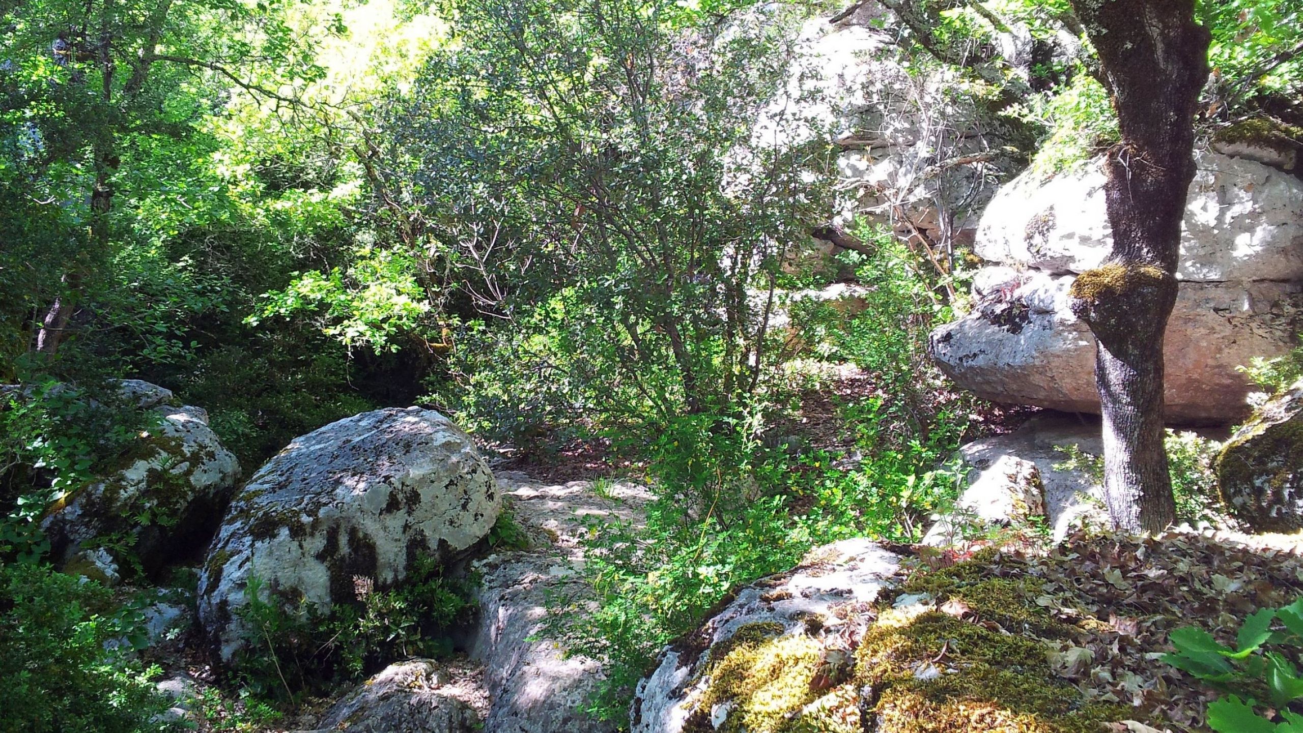 Vigilance JAUNE / CRUES - 16/1/2026